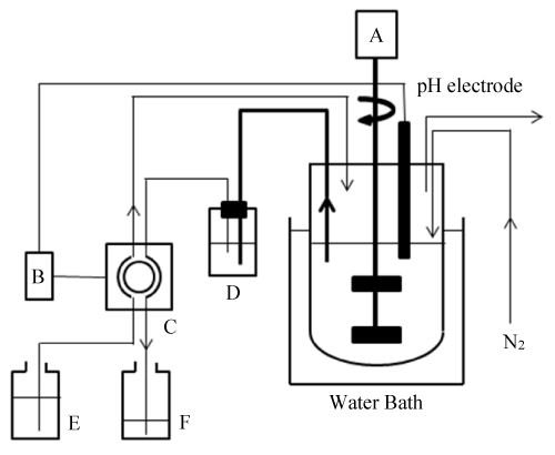An in vitro rumen-mimetic continuous cultivation system for evaluating ...