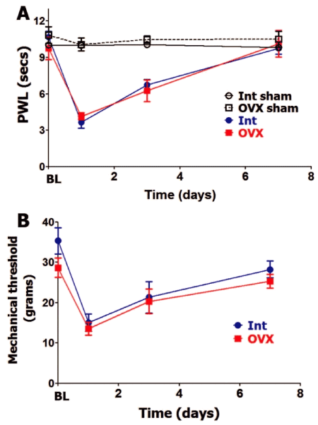 Influence Of Hypophysectomy Ovariectomy And Gonadectomy On Postoperative Hypersensitivity In Rats
