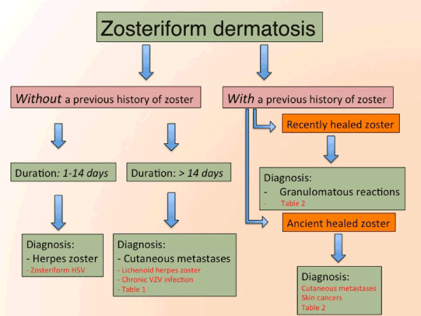 Zosteriform dermatoses-A review