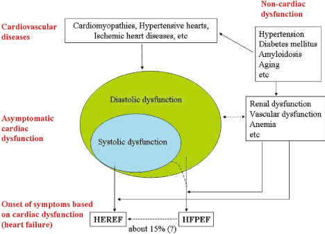 Treat Diastolic Heart Failure