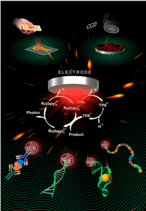 Recent progress in the development of ultra high-sensitive and rapid ...