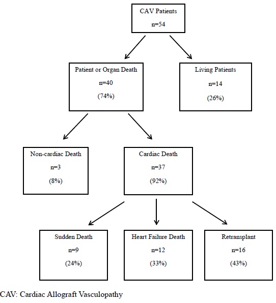 Sudden death in children with cardiac allograft vasculopathy