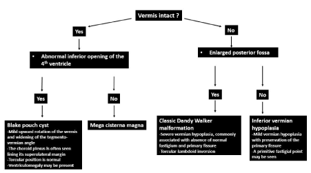 Pediatric MRI Brain: Normal or abnormal, that is the question.
