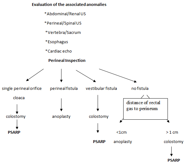Preoperative evaluation, surgical strategy and long-term outcome of ...