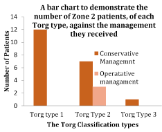 How are fifth metatarsal fractures managed by the virtual fracture clinic?