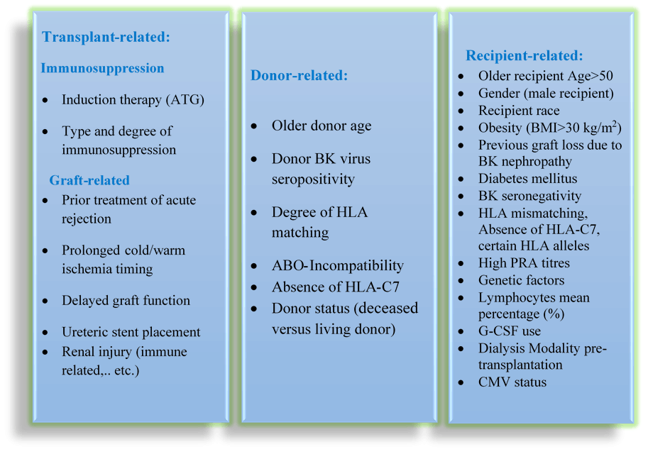 BK Virus Infection In Adult Renal Transplant Recipients Risk Factors